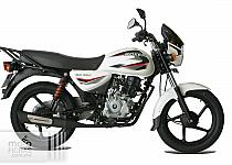 Veloci Boxter RR 200 precio ficha opiniones y ofertas